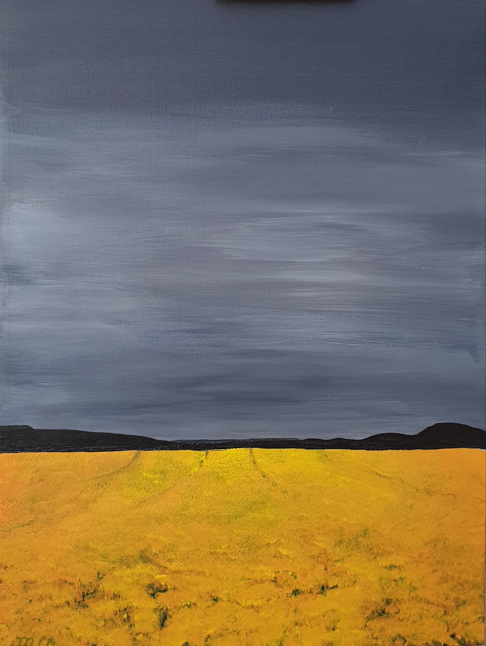 Beauty of Yellow Field - Artchic